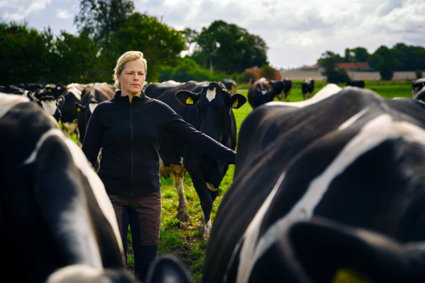 Meet the Partner: Arla Foods - Pathways to Dairy Net Zero